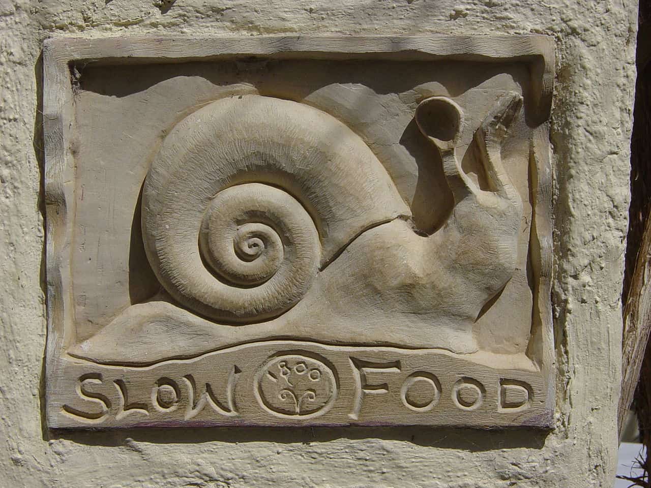 Birth of the Slow Movement – The Slow Human